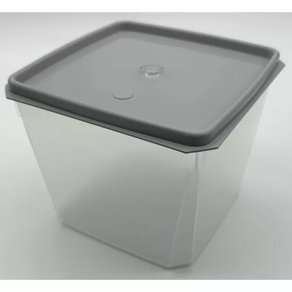 Ultra Square Storage Container with Lid, Semi-Clear, 5 Pack - Maxpert ...